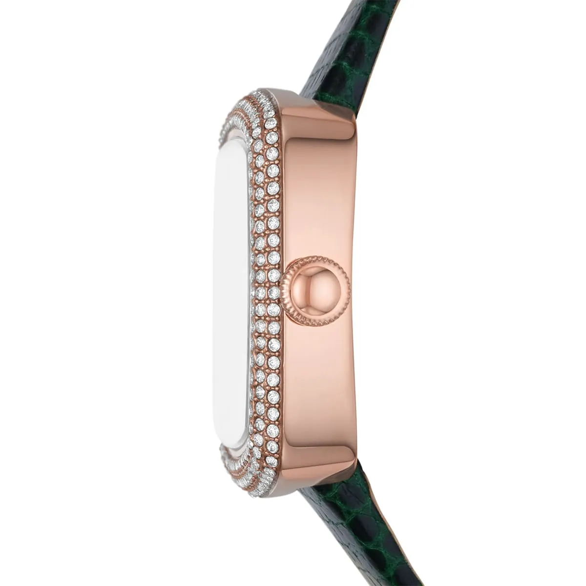 Emporio Armani Ladies Watch AR11497 | Watches Prime