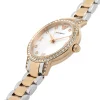 Emporio Armani Ladies Watch CLEO AR11499 | Watches Prime